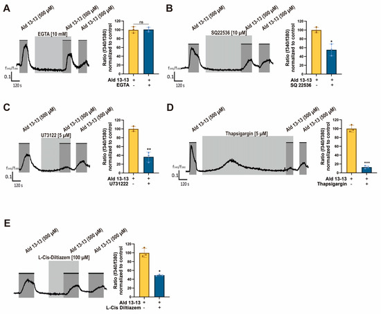 OR2H2 Activates CAMKKβ–AMPK–Autophagy Signaling Axis and Suppresses ...