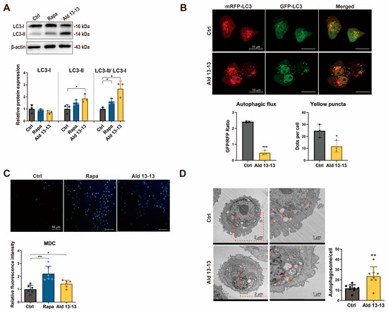 OR2H2 Activates CAMKKβ–AMPK–Autophagy Signaling Axis and Suppresses ...