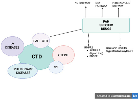 Recent Advances in the Treatment of Pulmonary Arterial Hypertension ...