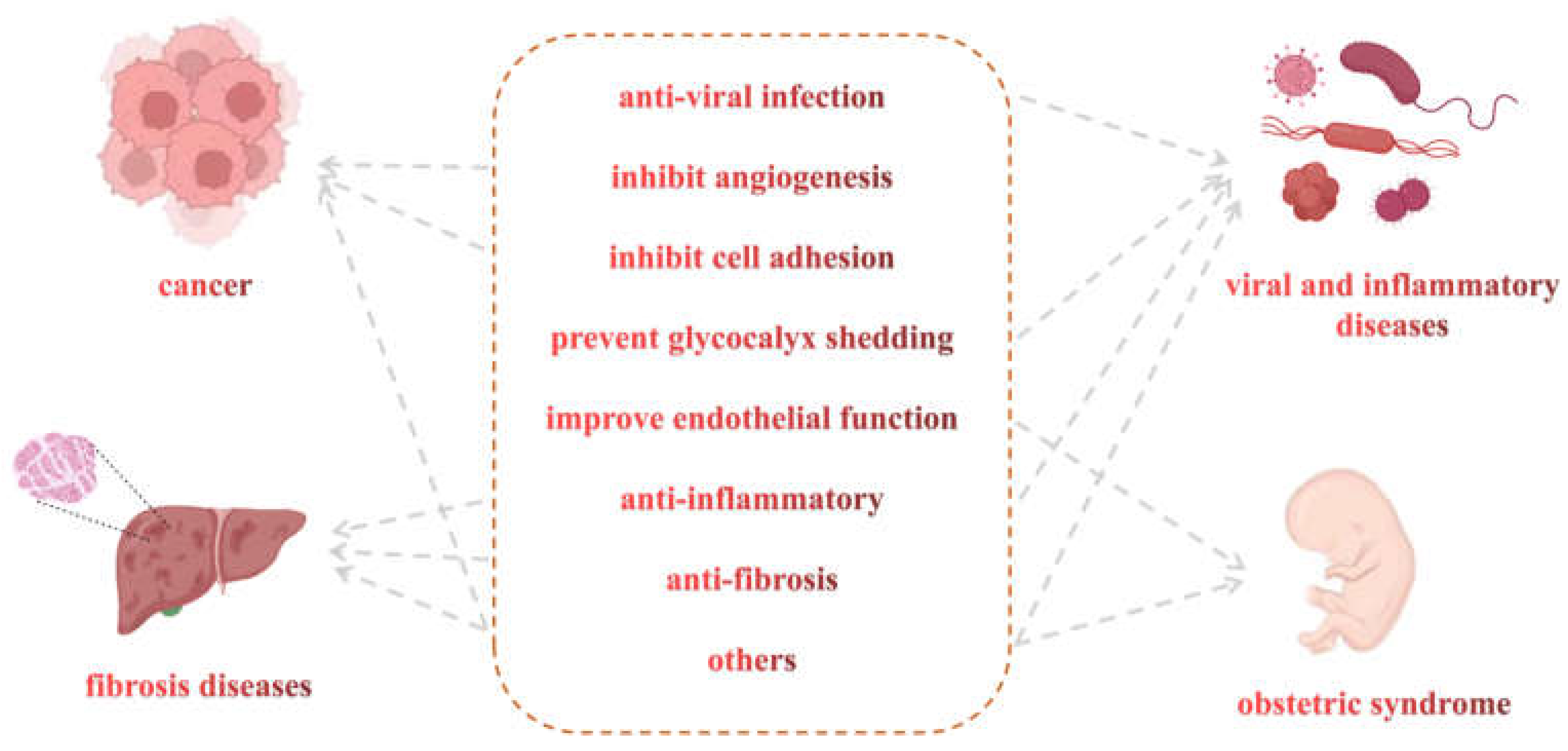 Non-Anticoagulant Activities of Low Molecular Weight Heparins—A Review