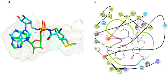 Exploring Proteus mirabilis Methionine tRNA Synthetase Active Site ...