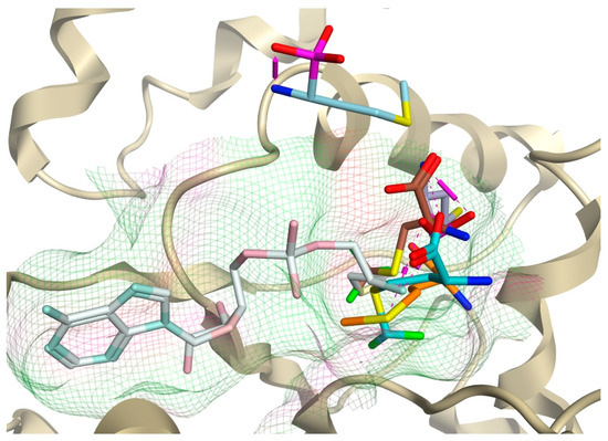 Exploring Proteus mirabilis Methionine tRNA Synthetase Active Site ...