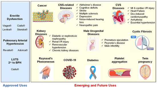 Advancements in Phosphodiesterase 5 Inhibitors: Unveiling Present and ...