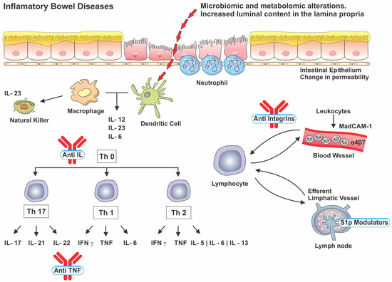 Pharmaceuticals | Free Full-Text | Pharmacological Therapy in ...