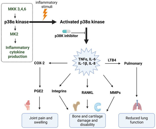 Revisiting p38 Mitogen-Activated Protein Kinases (MAPK) in Inflammatory Arthritis: A Narrative ...