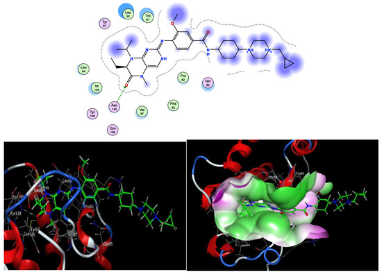 Novel Aminopyrimidine-2,4-diones, 2-Thiopyrimidine-4-ones, and 6 ...