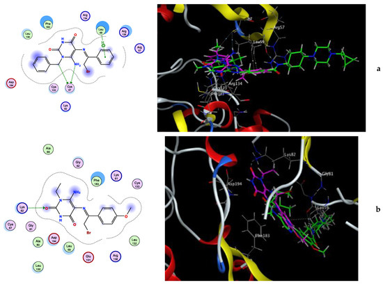 Novel Aminopyrimidine-2,4-diones, 2-Thiopyrimidine-4-ones, and 6 ...
