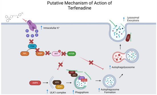 Repurposing Terfenadine as a Novel Antigiardial Compound