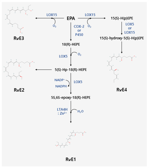 Role of Resolvins in Inflammatory and Neuropathic Pain