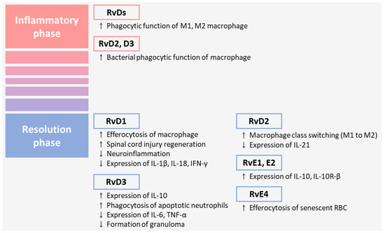 Role of Resolvins in Inflammatory and Neuropathic Pain