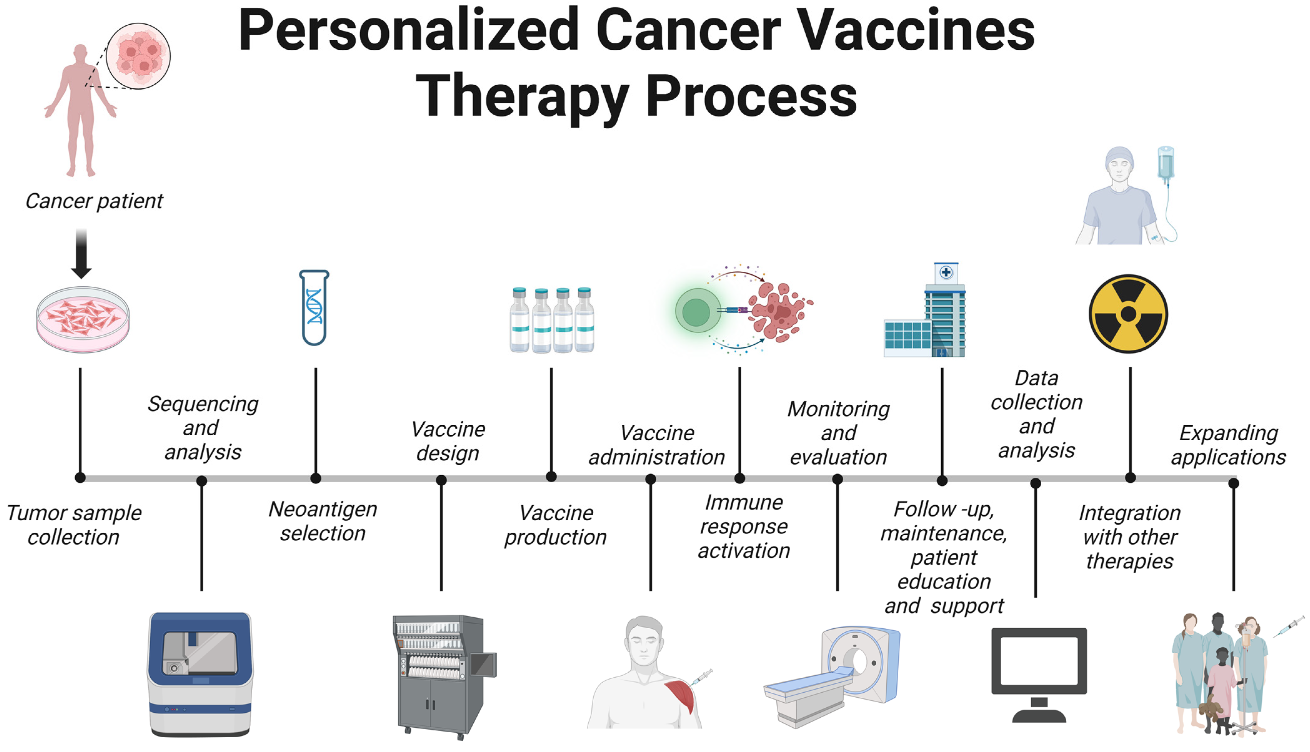 Tumor Vaccines: Unleashing the Power of the Immune System to Fight Cancer