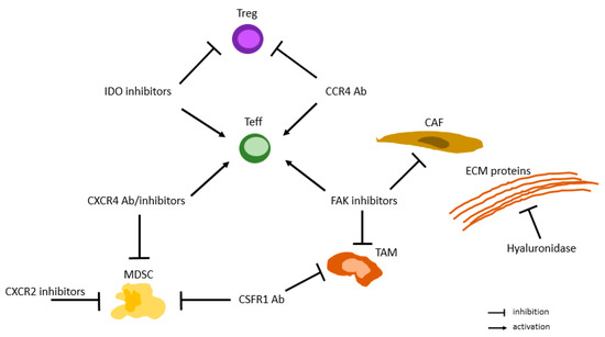 The Role of Immune Checkpoint Inhibitors in Metastatic Pancreatic ...