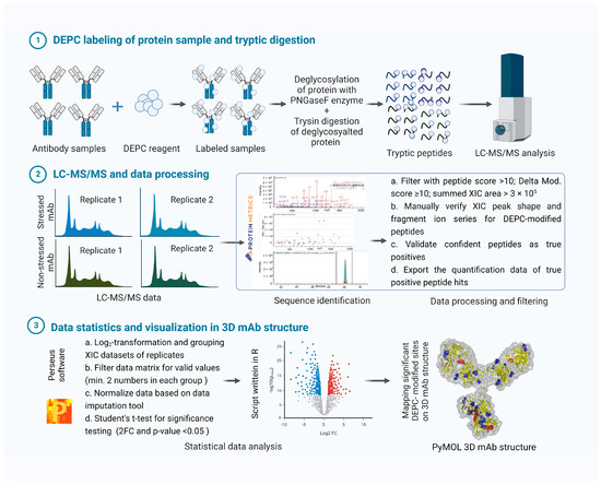 Site-Specific Structural Changes in Long-Term-Stressed Monoclonal ...