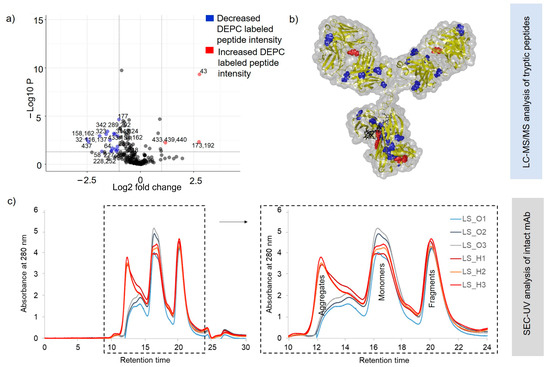 Site-Specific Structural Changes in Long-Term-Stressed Monoclonal ...