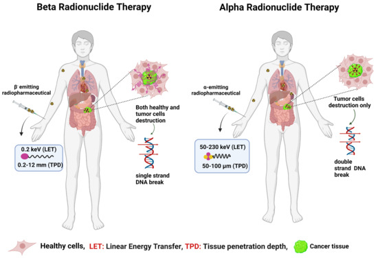 Radiometals in Imaging and Therapy: Highlighting Two Decades of Research