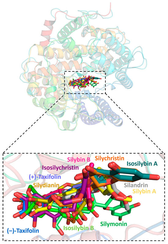 Anti-Viral Activity of Bioactive Molecules of Silymarin against COVID ...