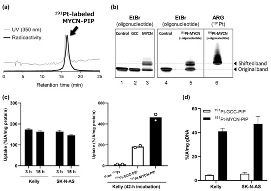 Novel Auger-Electron-Emitting 191Pt-Labeled Pyrrole–Imidazole Polyamide ...
