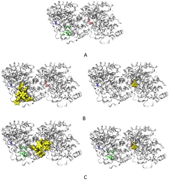 Tannic Acid and Ethyl Gallate Potentialize Paclitaxel Effect on ...