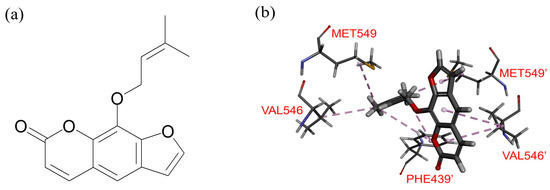 Imperatorin Restores Chemosensitivity of Multidrug-Resistant Cancer ...