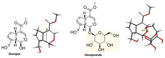 Ligand-Based Drug Design of Genipin Derivatives with Cytotoxic Activity ...