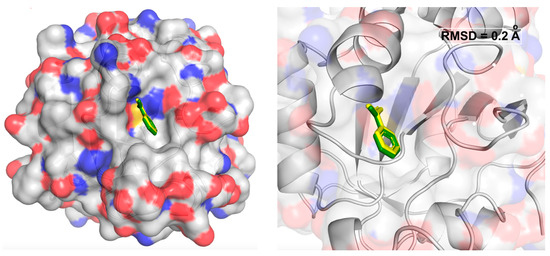 Design, Synthesis, Molecular Modeling and Biological Evaluation of ...