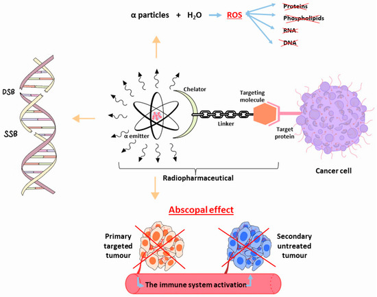 Targeted Alpha Therapy: All We Need to Know about 225Ac’s Physical ...