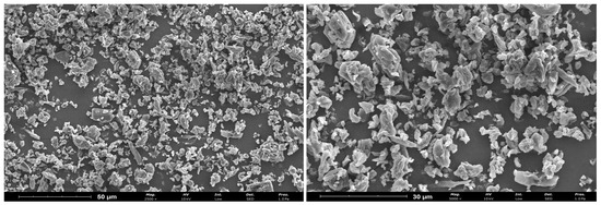 Biological Potential and Bioaccessibility of Encapsulated Curcumin into ...