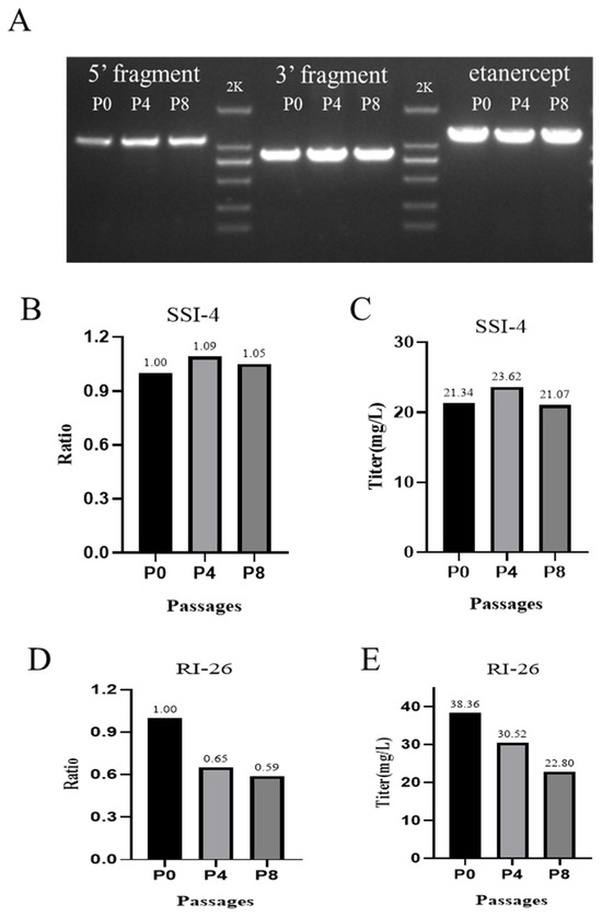 Identification of a New Integration Site and Study on Site-Specific ...