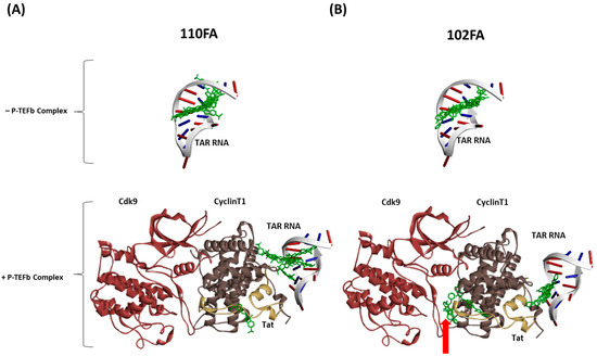 HIV-1 Transcription Inhibition Using Small RNA-Binding Molecules