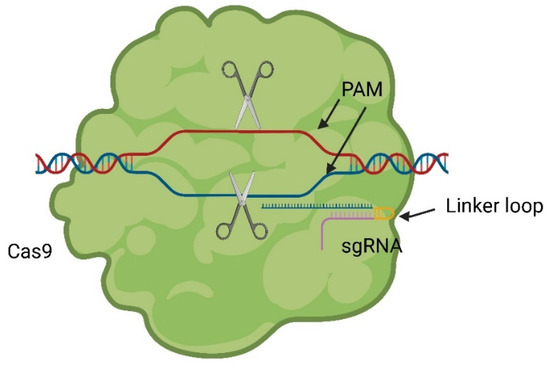 Molecular Marvels: Small Molecules Paving the Way for Enhanced Gene Therapy