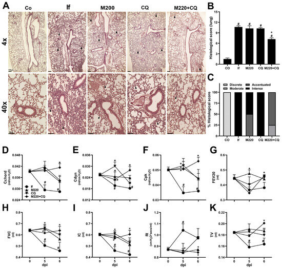 N-(coumarin-3-yl)cinnamamide Promotes Immunomodulatory, Neuroprotective ...