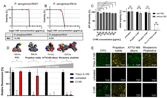 The Designed Pore-Forming Antimicrobial Peptide C14R Combines Excellent ...