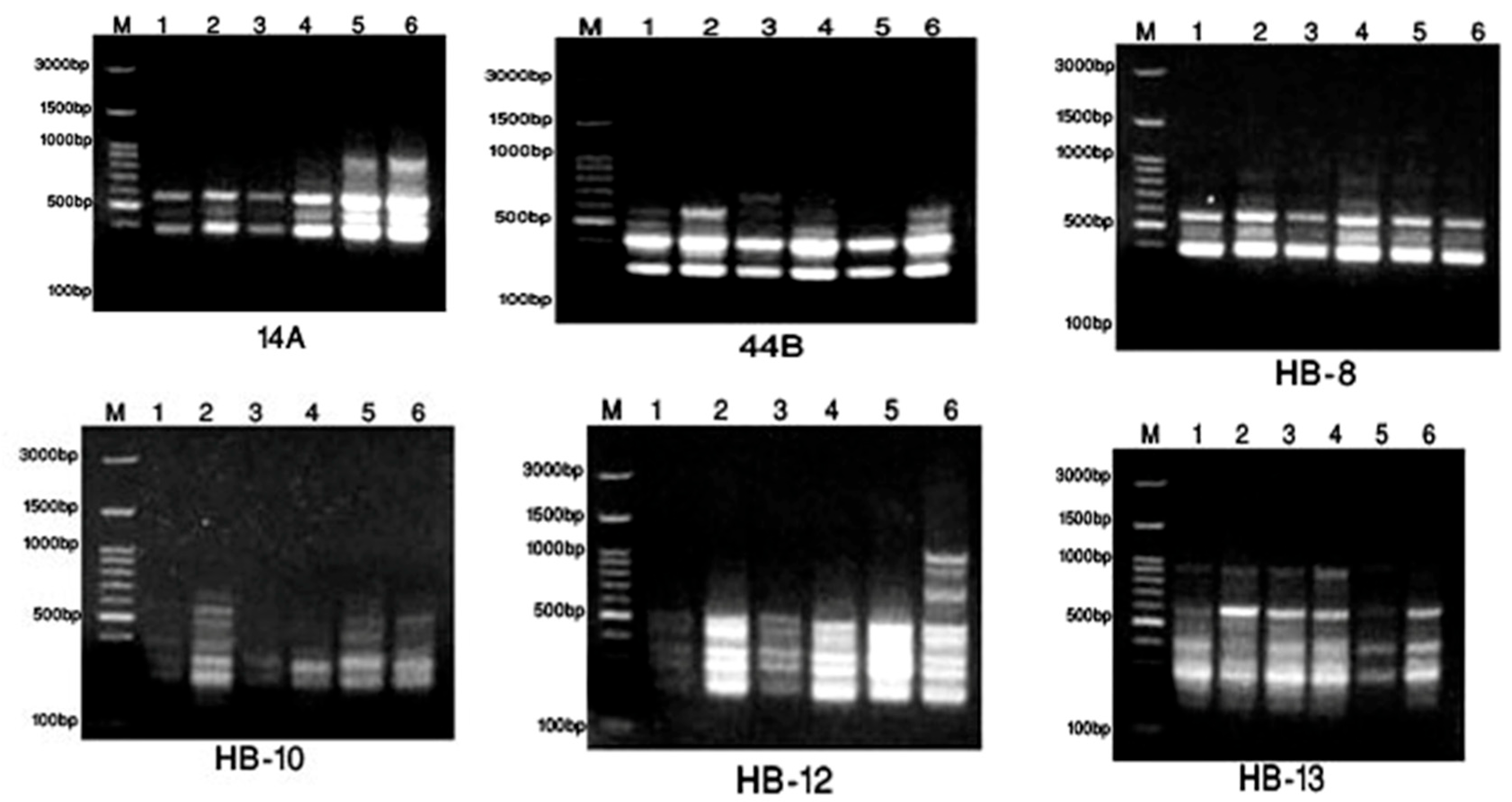 Comprehensive Tools Of Alkaloid Volatile Compounds Metabolomics And Dna Profiles Bioassay Role