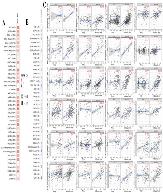 Oncogenic Potential of Replication Factor C Subunit 4: Correlations ...