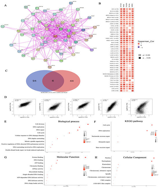 Oncogenic Potential of Replication Factor C Subunit 4: Correlations ...