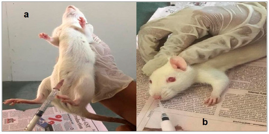 Optimization of Pramipexole-Loaded In Situ Thermosensitive Intranasal ...