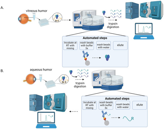 A Comprehensive Immunocapture-LC-MS/MS Bioanalytical Approach in ...