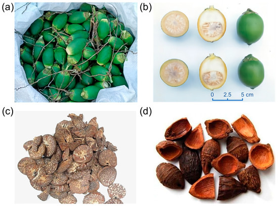 Biological Effects and Biomedical Applications of Areca Nut and Its Extract