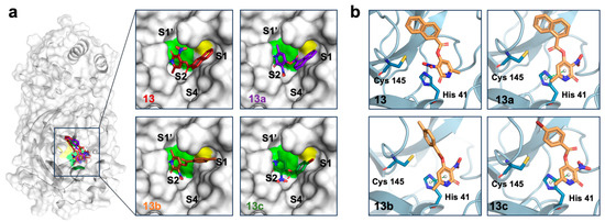 Identification of SARS-CoV-2 Main Protease Inhibitors Using Chemical Similarity Analysis ...