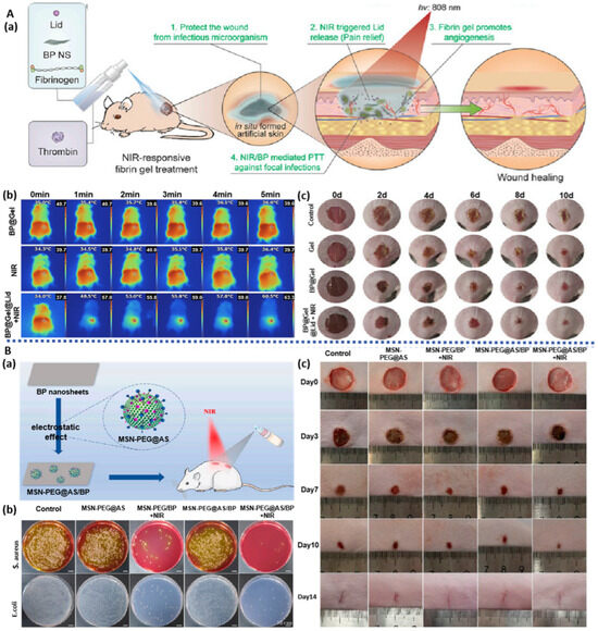 Advances in the Application of Black Phosphorus-Based Composite ...