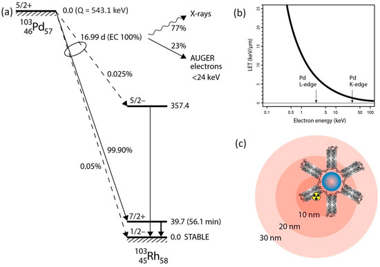 Innovative Approach to Producing Palladium-103 for Auger-Emitting Radionuclide Therapy: A Proof ...