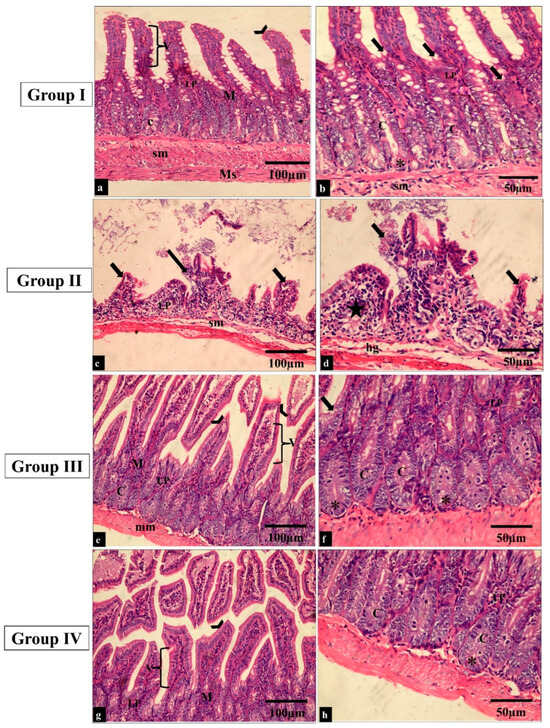 Outlining the Phytoconstituents of Greek Clover Herb Extract and ...