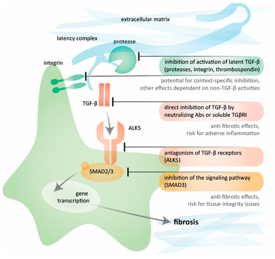 Pharmaceuticals | Free Full-Text | Hitting the Target! Challenges and ...