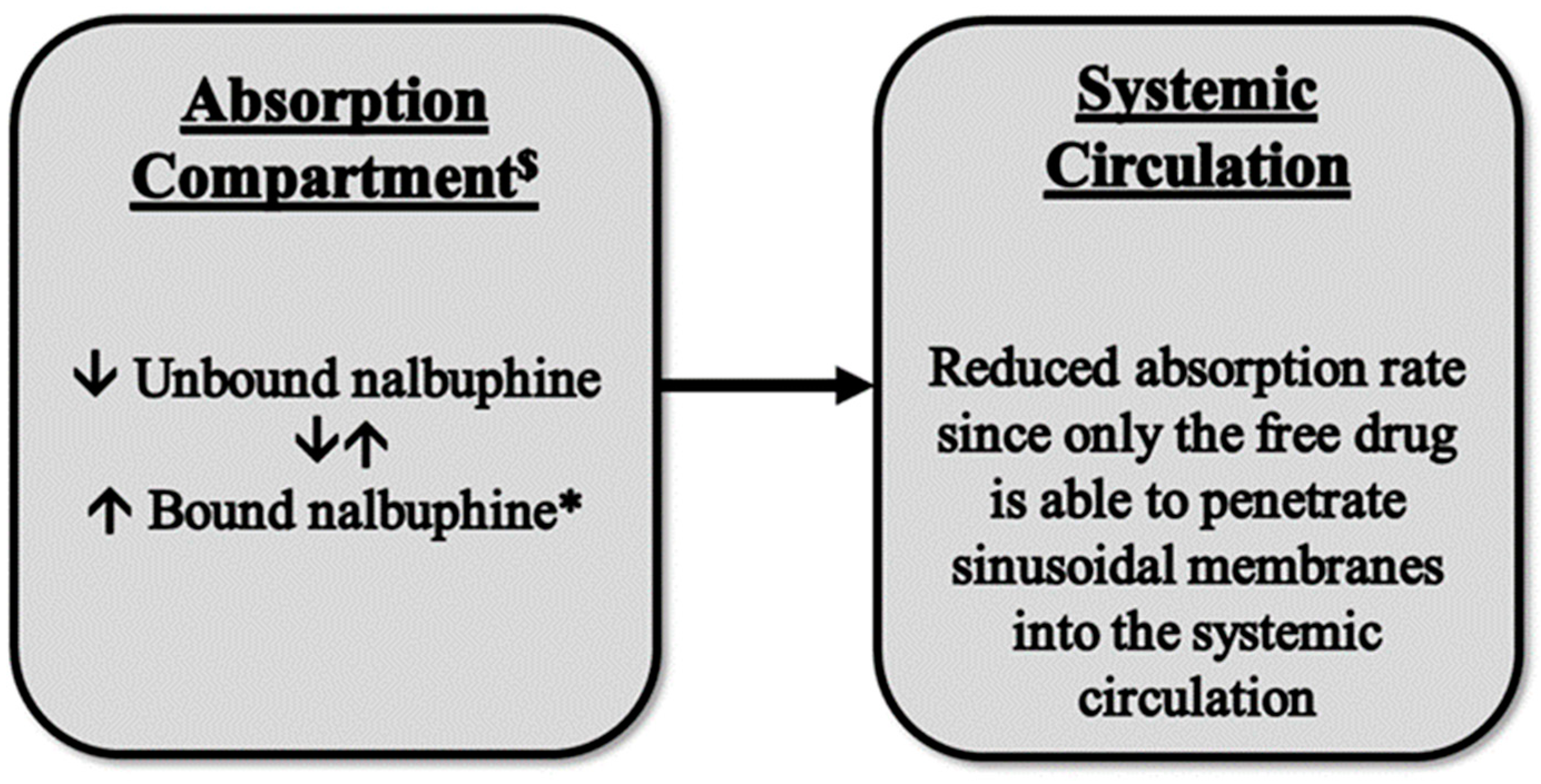 Hyperlipidemia Increases Nalbuphine Brain Accumulation with Multiple ...