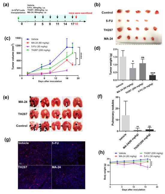 Targeting MutT Homolog 1 (MTH1) for Breast Cancer Suppression by Using ...