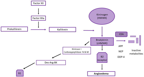 Five-Membered Nitrogen Heterocycles Angiotensin-Converting Enzyme (ACE ...