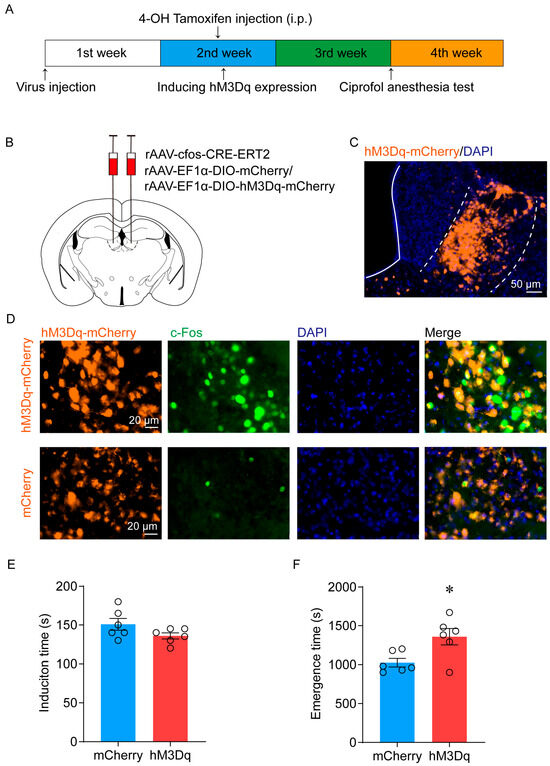 A Common Neuronal Ensemble in the Lateral Habenula Regulates Ciprofol ...