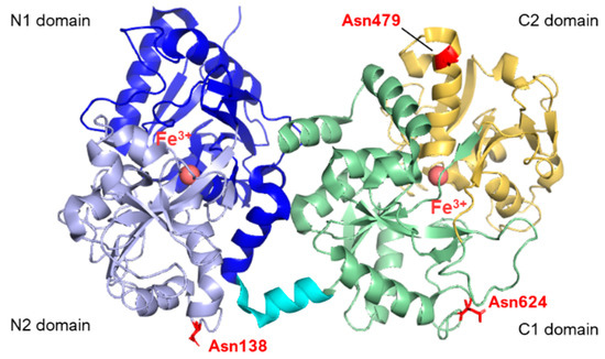 Lactoferrins in Their Interactions with Molecular Targets: A Structure ...