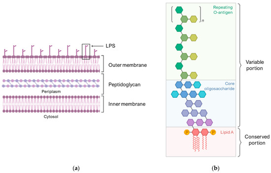 Lactoferrins in Their Interactions with Molecular Targets: A Structure ...