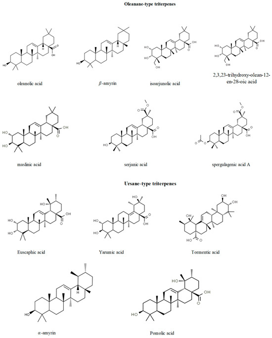 Terpenes from Cecropia Species and Their Pharmacological Potential